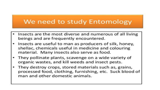 ENTOMOLOGY NOTES POEWRPOINT PRESENTATION.pptx
