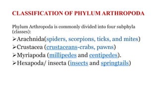 ENTOMOLOGY NOTES POEWRPOINT PRESENTATION.pptx