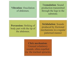 Sensory organs and nutritive requirement of insects | PPTX