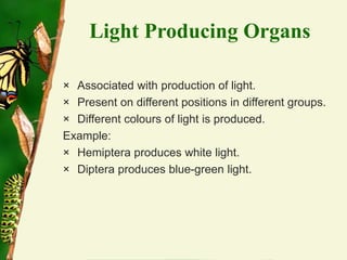 Sensory organs and nutritive requirement of insects | PPTX