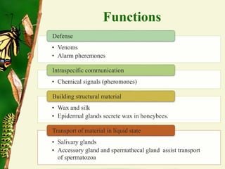 Sensory organs and nutritive requirement of insects | PPTX