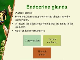 Sensory organs and nutritive requirement of insects | PPTX