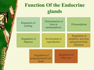 Sensory organs and nutritive requirement of insects | PPTX