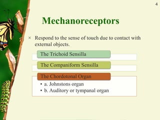Sensory organs and nutritive requirement of insects | PPTX