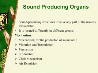 Sensory organs and nutritive requirement of insects | PPTX