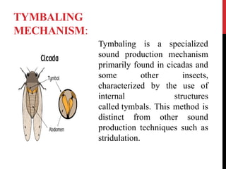 ENTOMOLOGY Ppt - A guidelines for students | PPTX