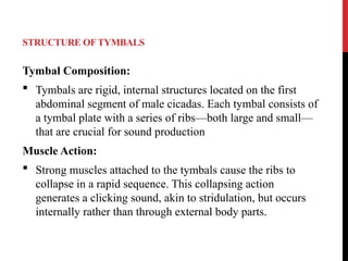 ENTOMOLOGY Ppt - A guidelines for students | PPTX
