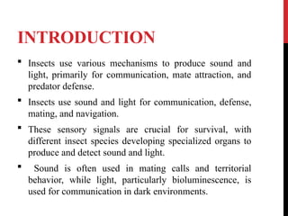 ENTOMOLOGY Ppt - A guidelines for students | PPTX