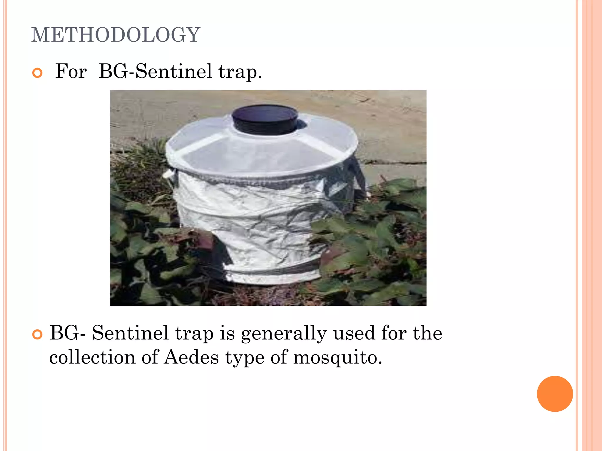 Entomological field techniques for mosquito and sandfly | PPTX