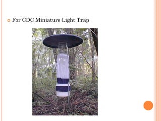 Entomological field techniques for mosquito and sandfly | PPTX