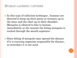 Entomological field techniques for mosquito and sandfly | PPTX