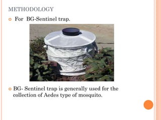 Entomological field techniques for mosquito and sandfly | PPTX
