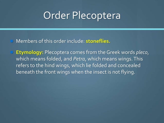 Order Plecoptera & Grylloblattodea | PPTX | Geography | Science