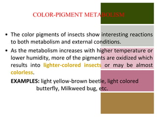Entomology | PPTX | Chemistry | Science