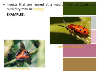 Entomology | PPTX | Chemistry | Science