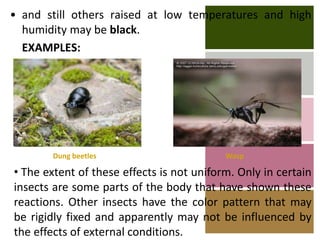 Entomology | PPTX | Chemistry | Science