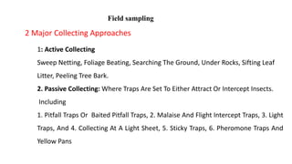 Entomology Research.pptx