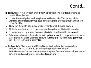 Introductory Entomology (ENT 201) | PPT