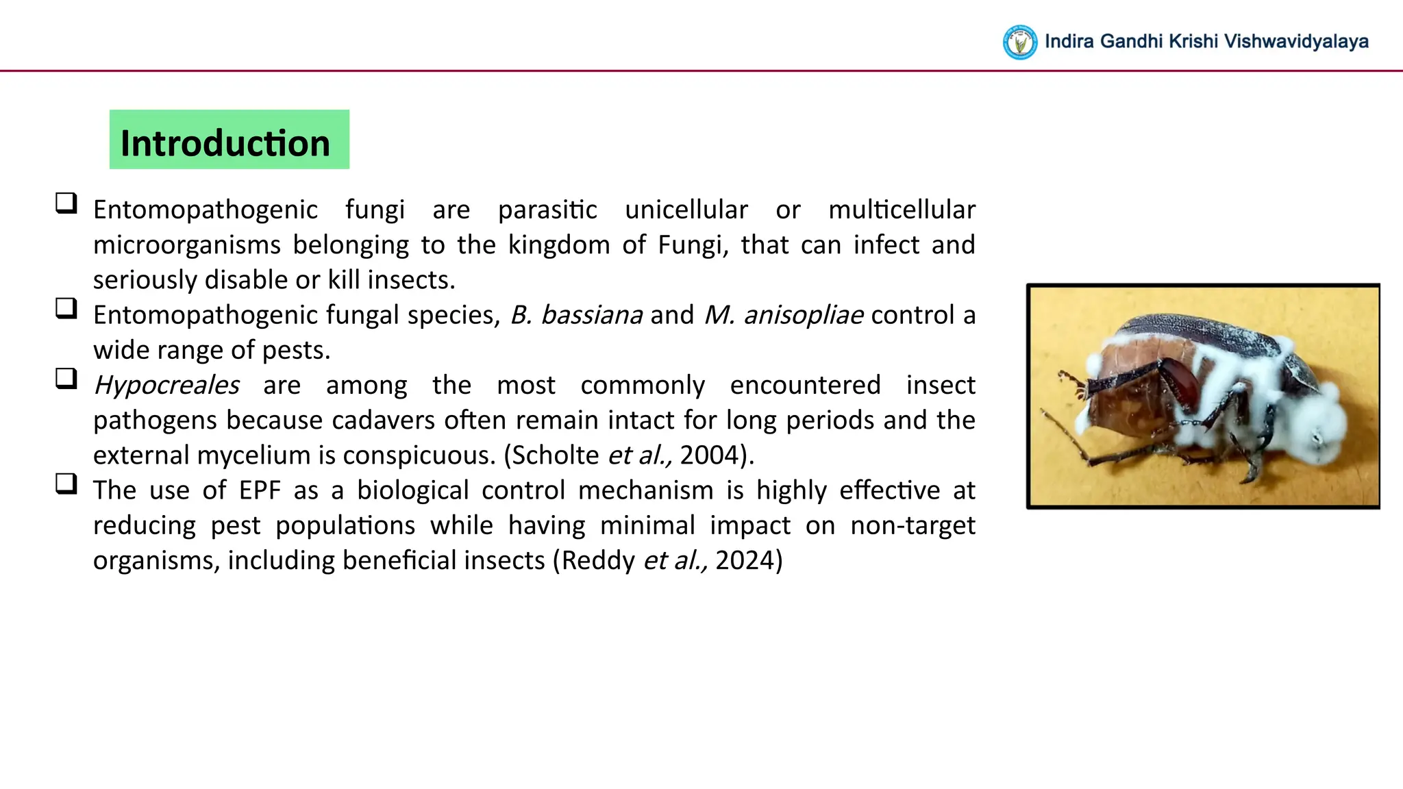 Entomopathogen fungi (HITESH ) Doctoral seminar 2.pptx