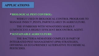 Entomopathogenic bacteria - Photorhabdus luminescens | PPTX