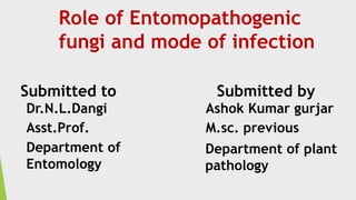 Entomopathogenic fungi | PPTX