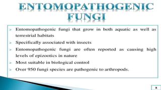 Entomopathogenic fungi | PPTX