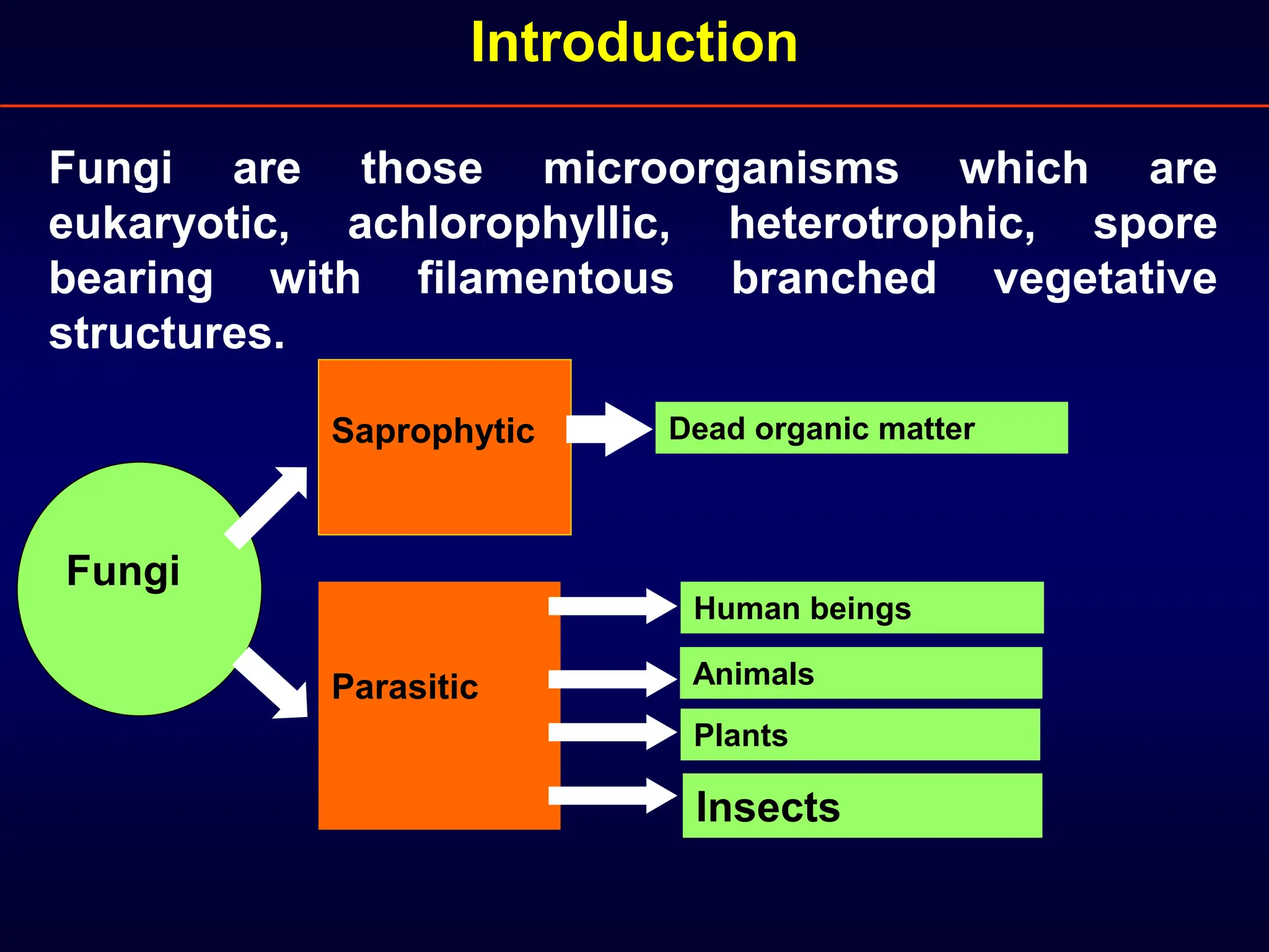 Introduction, Mode of action and advantage of Entomopathogenic fungi.ppt