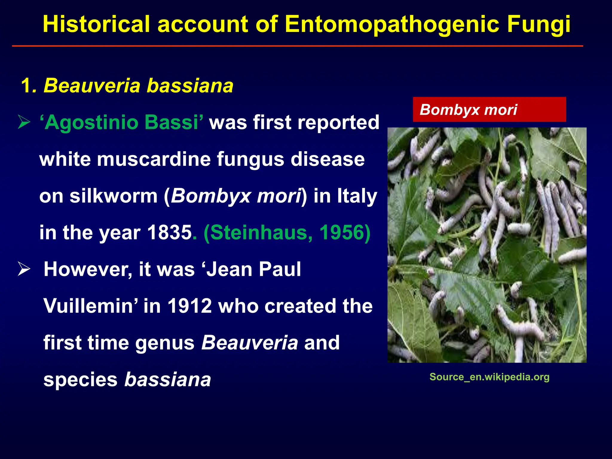 Introduction, Mode of action and advantage of Entomopathogenic fungi.ppt