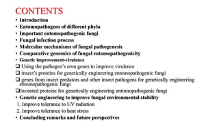 Genetic engineering and molecular interaction of entomopathogenic fungi ...