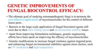 Genetic engineering and molecular interaction of entomopathogenic fungi ...