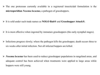 Entomopathogenic nematodes and protozoans— mode of action.ppt
