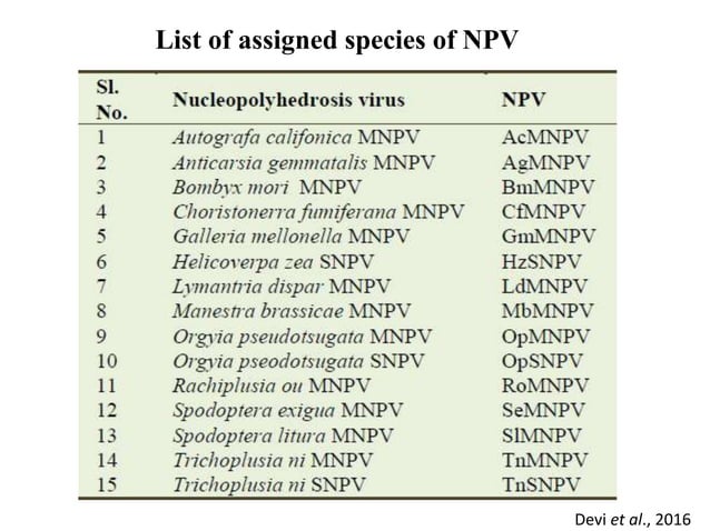 Entomopathogenic viruses | PPTX | Biological Sciences | Science