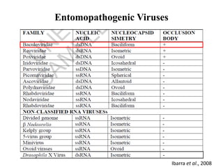 Entomopathogenic viruses | PPTX