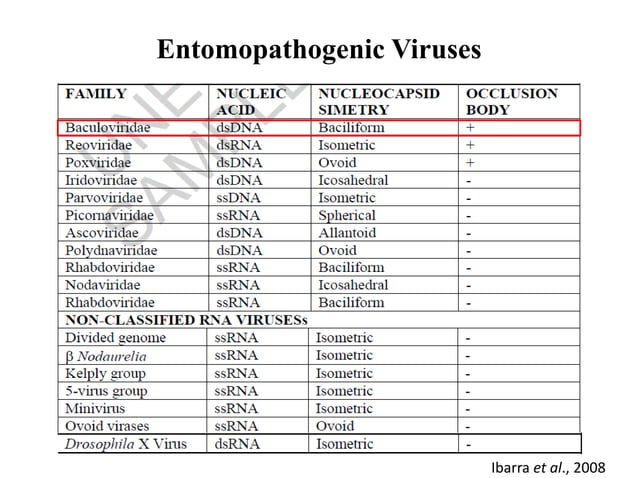 Entomopathogenic viruses | PPTX | Biological Sciences | Science