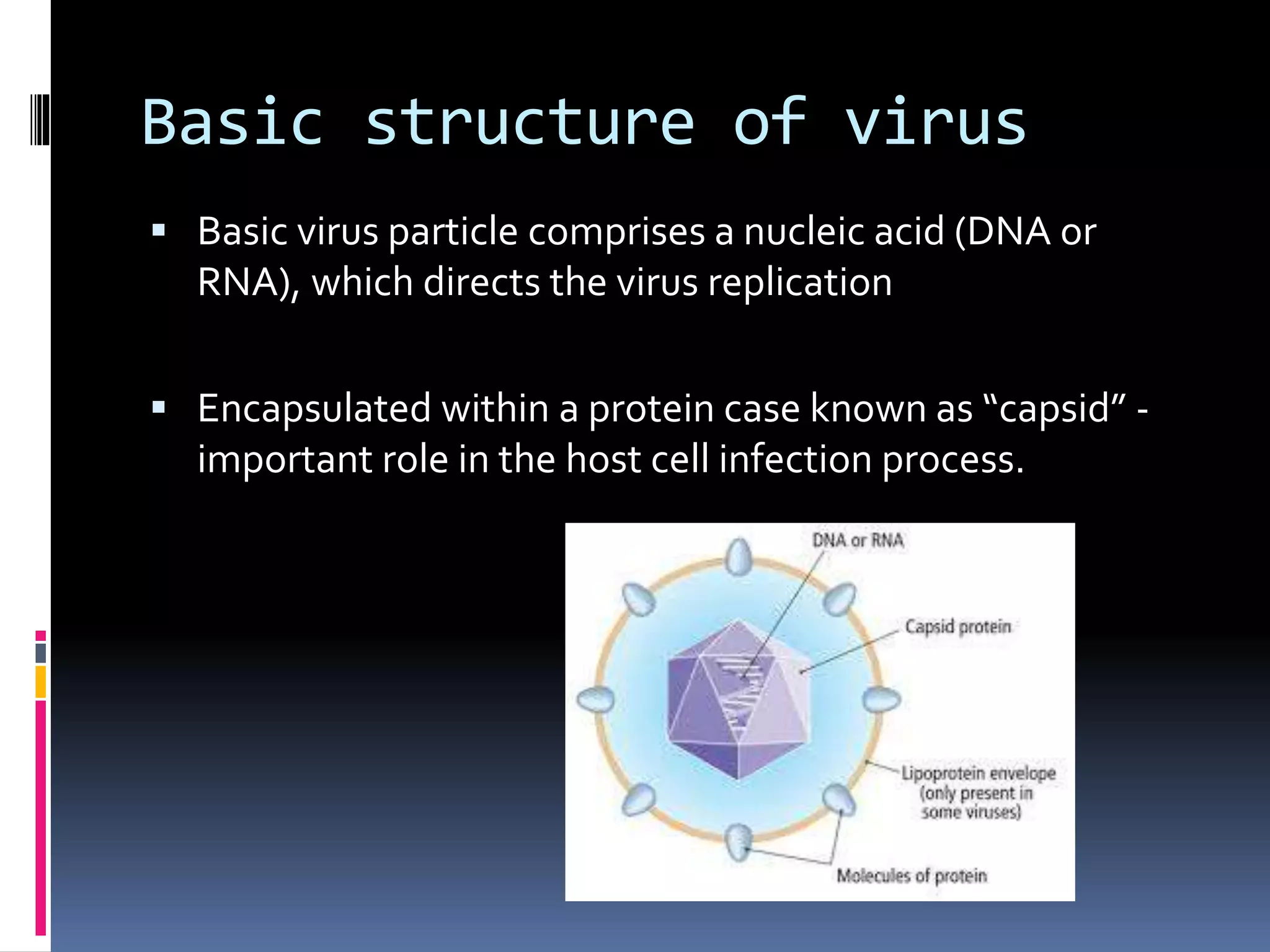 Entomopathogenic viruses.pptx
