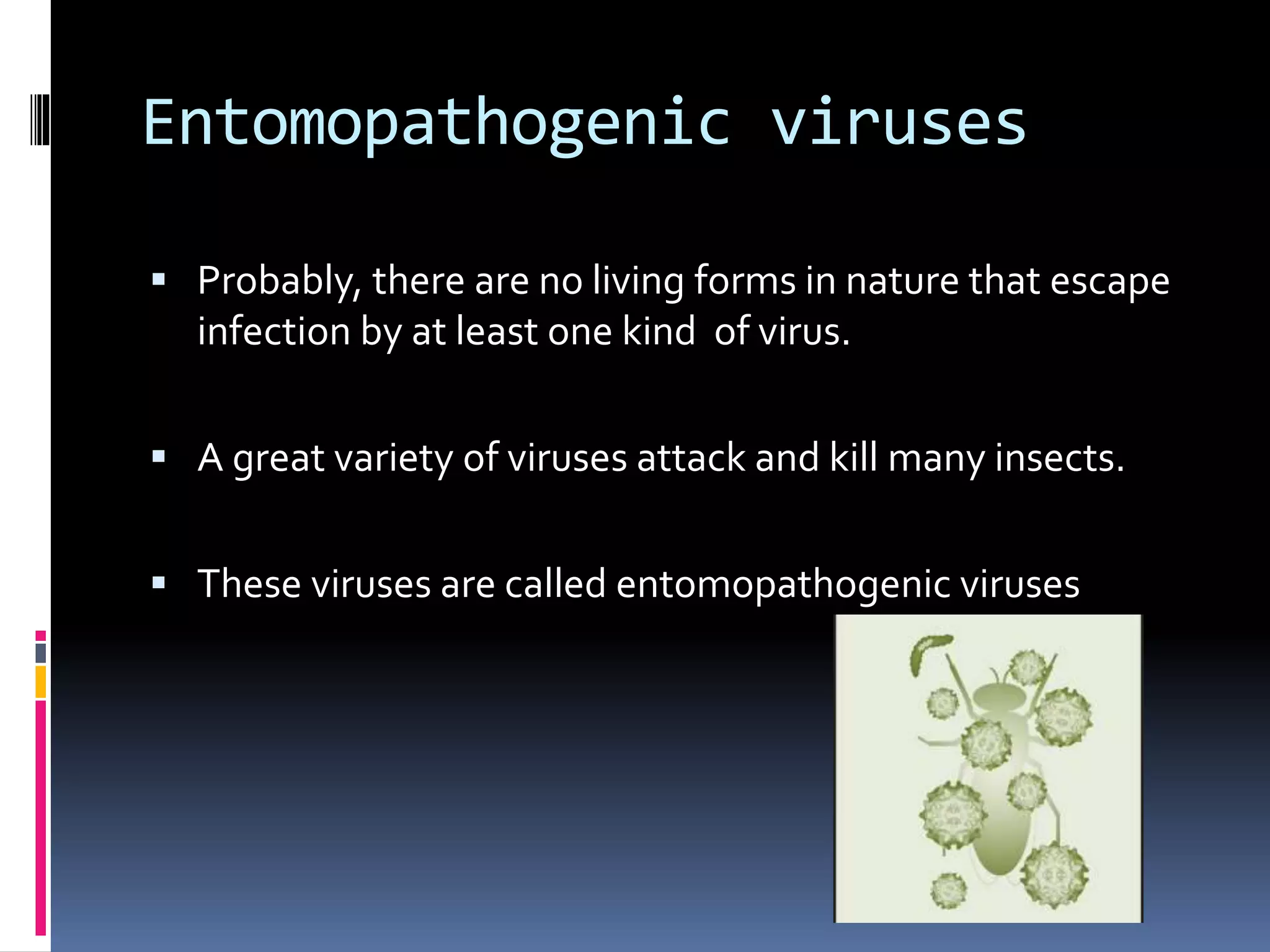 Entomopathogenic viruses.pptx