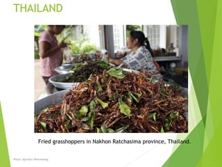 Entomophagy: why eat insects? | PPTX
