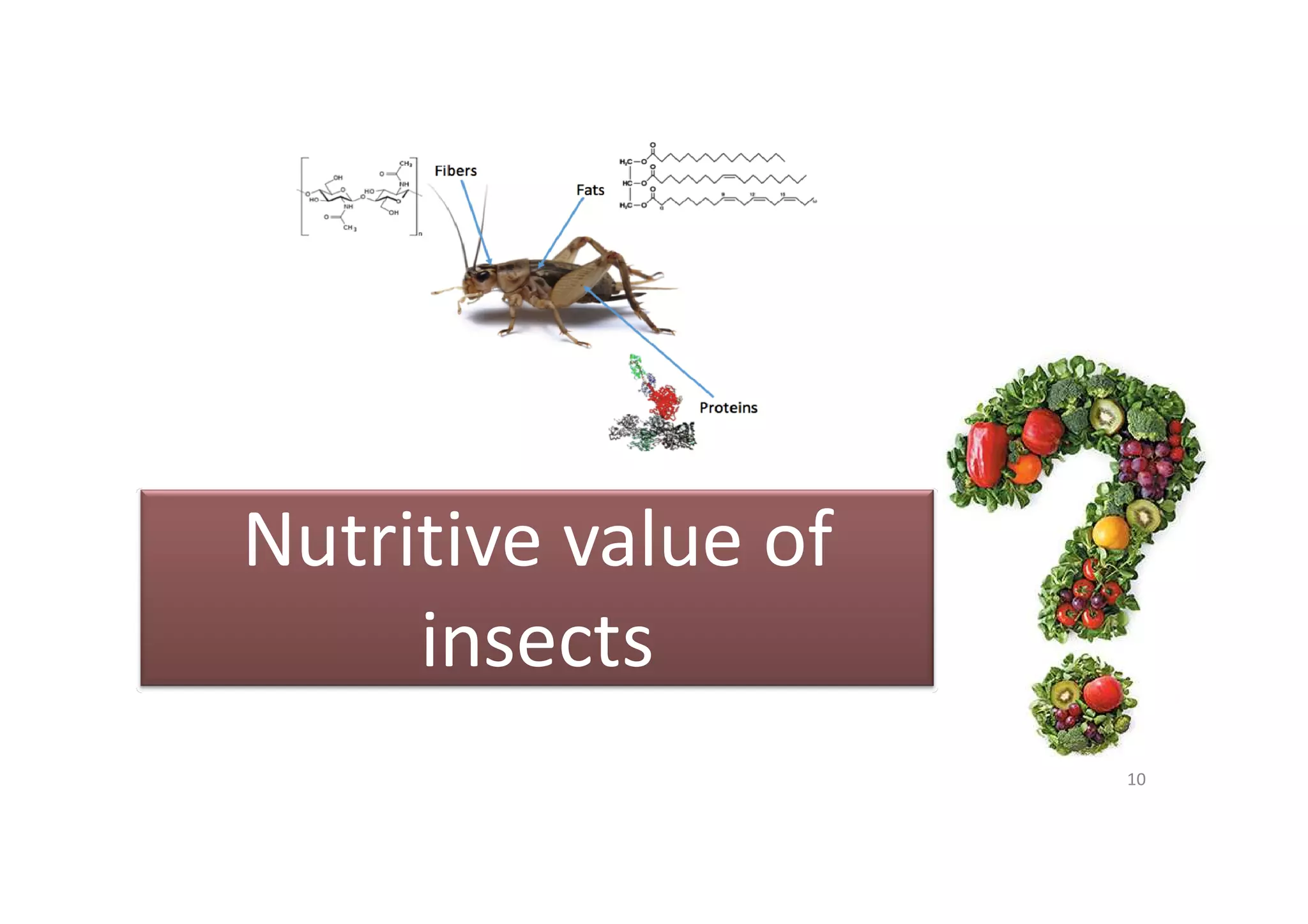Entomophagy to address malnutrition & food insecurity | PDF