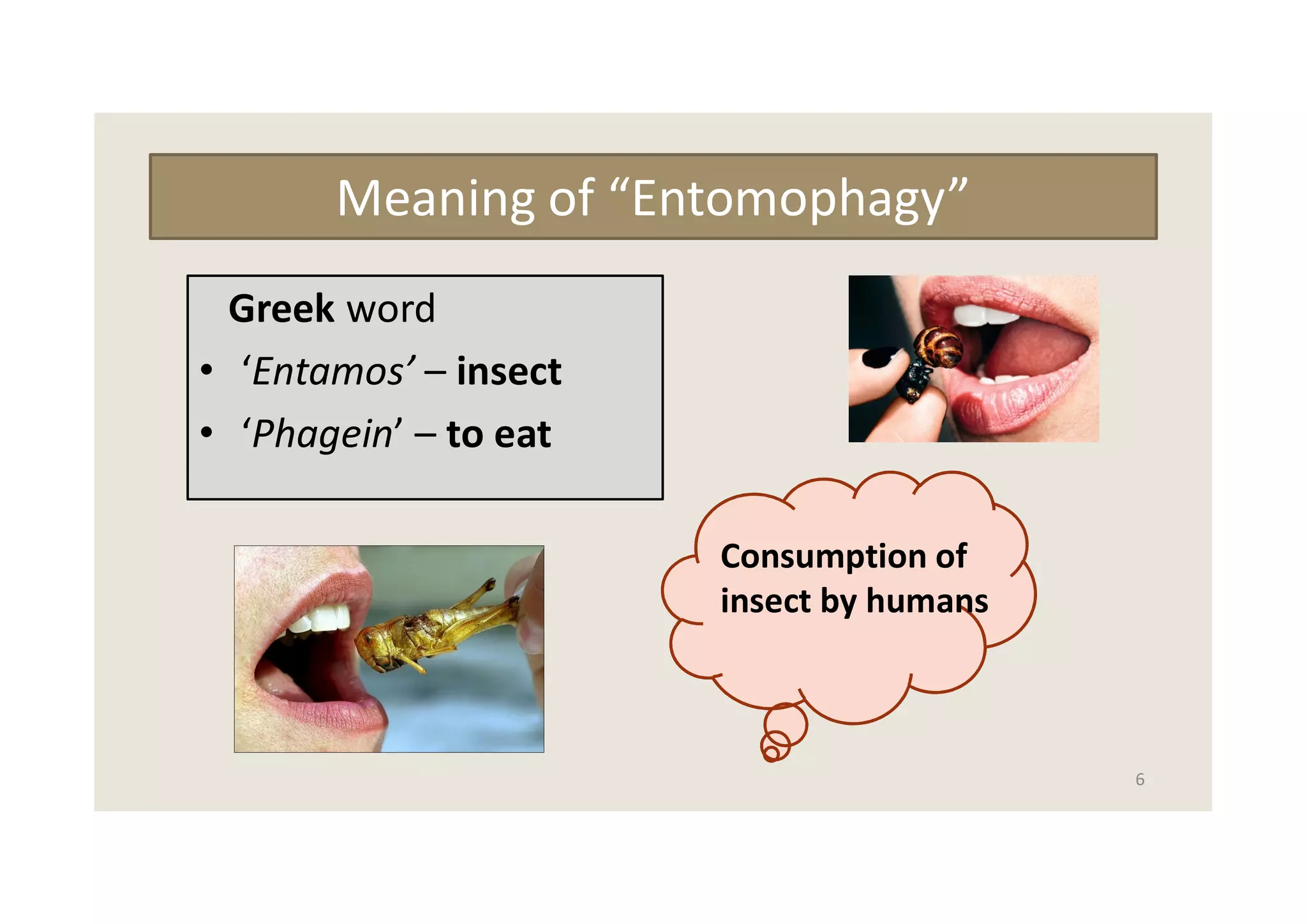 Entomophagy to address malnutrition & food insecurity | PDF