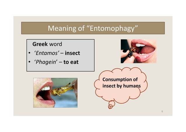 Entomophagy to address malnutrition & food insecurity | PDF | Chemistry ...