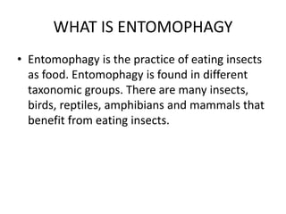 ENTOMOPHAGY | PPTX