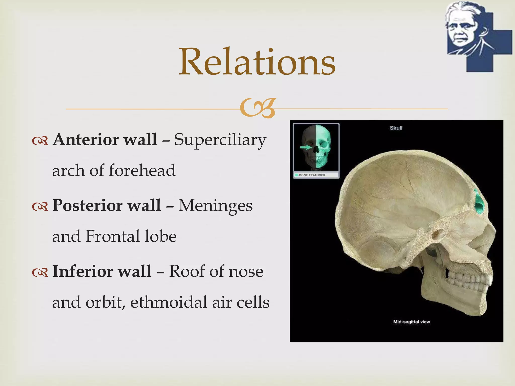 Anatomy of paranasal air sinuses | PPTX