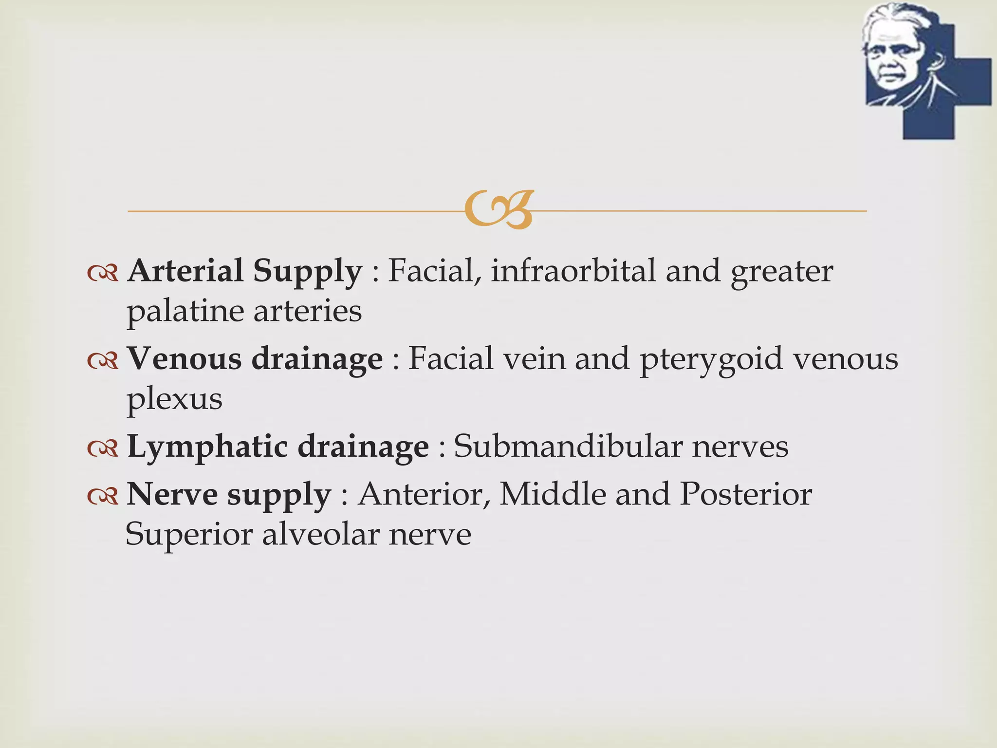 Anatomy of paranasal air sinuses | PPTX