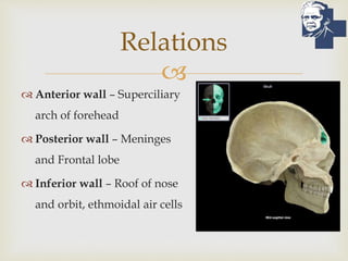 Anatomy of paranasal air sinuses | PPTX
