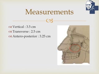 Anatomy of paranasal air sinuses | PPTX