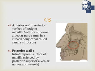 Anatomy of paranasal air sinuses | PPTX
