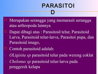 Pengendalian Serangga ppt | PPT