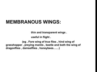 Insect wing copulation.pdf