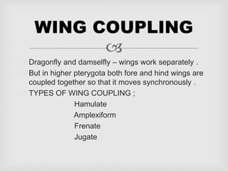 Insect wing copulation.pdf
