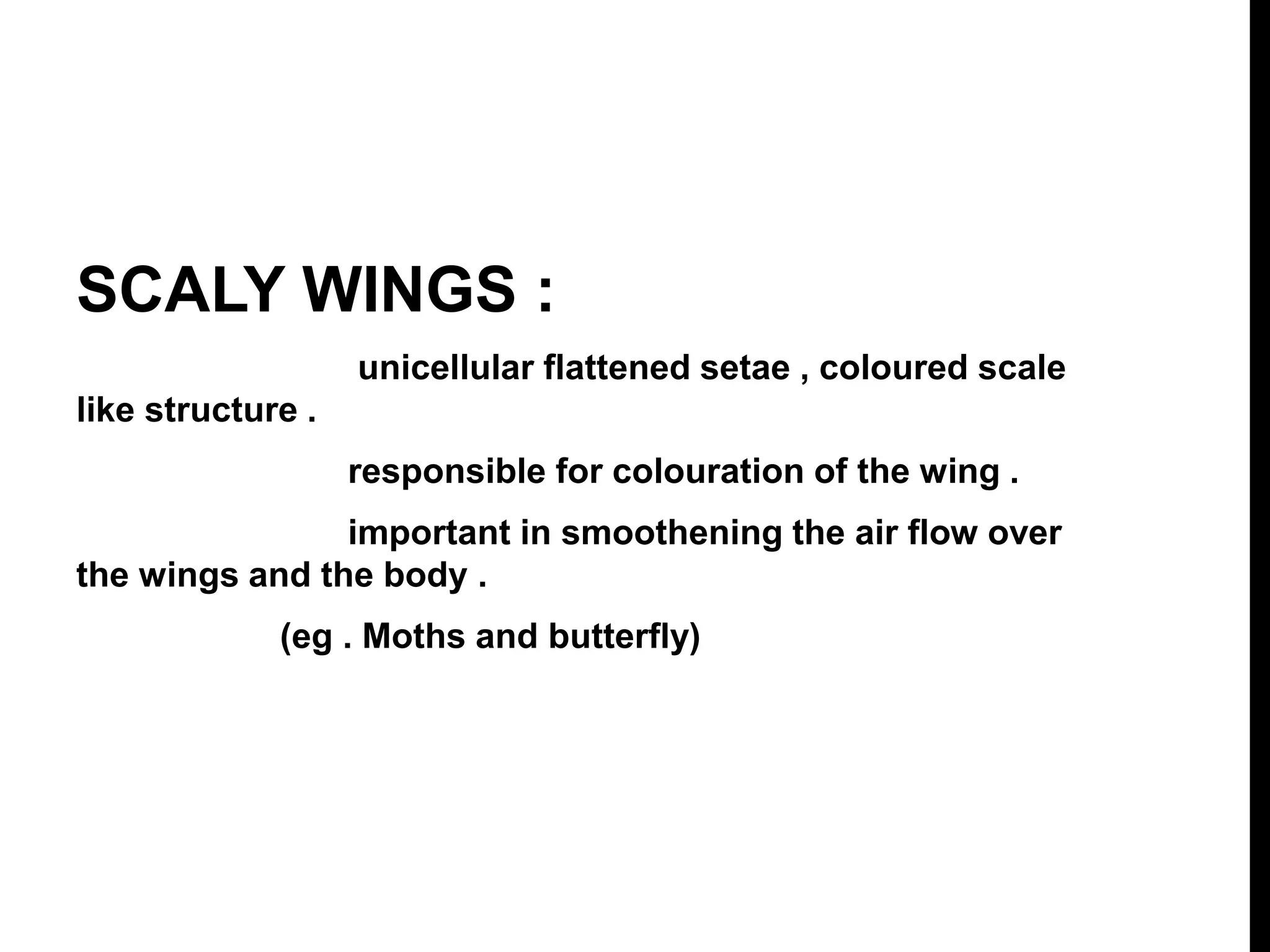 Entomology- insect wing | PPTX